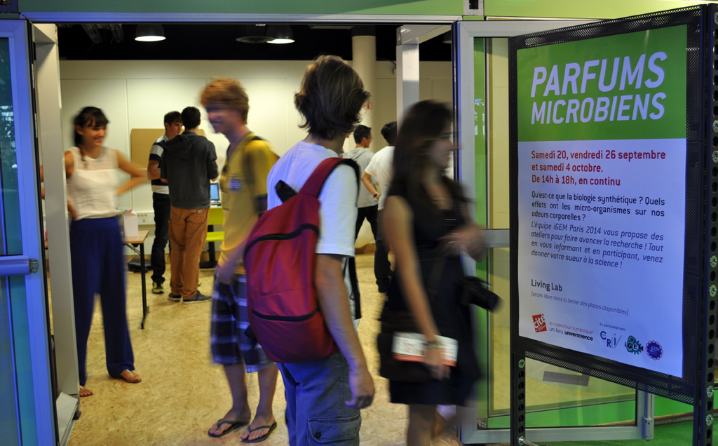 Parfums microbiens : transpirer pour la science ! | Carrefour ...